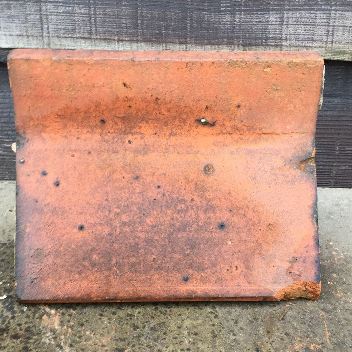 Single crested ridge length 300mm (12inch ) width 230mm (9 inch )